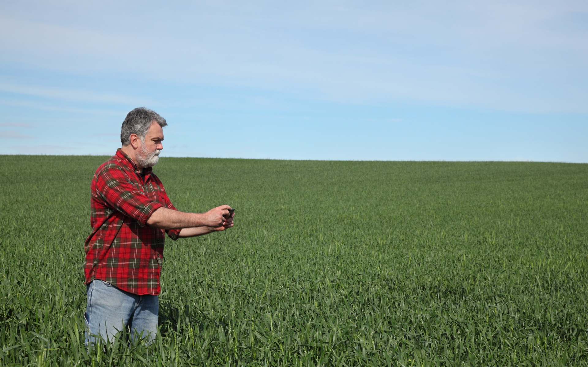 Landlords: Origins of British Landowners