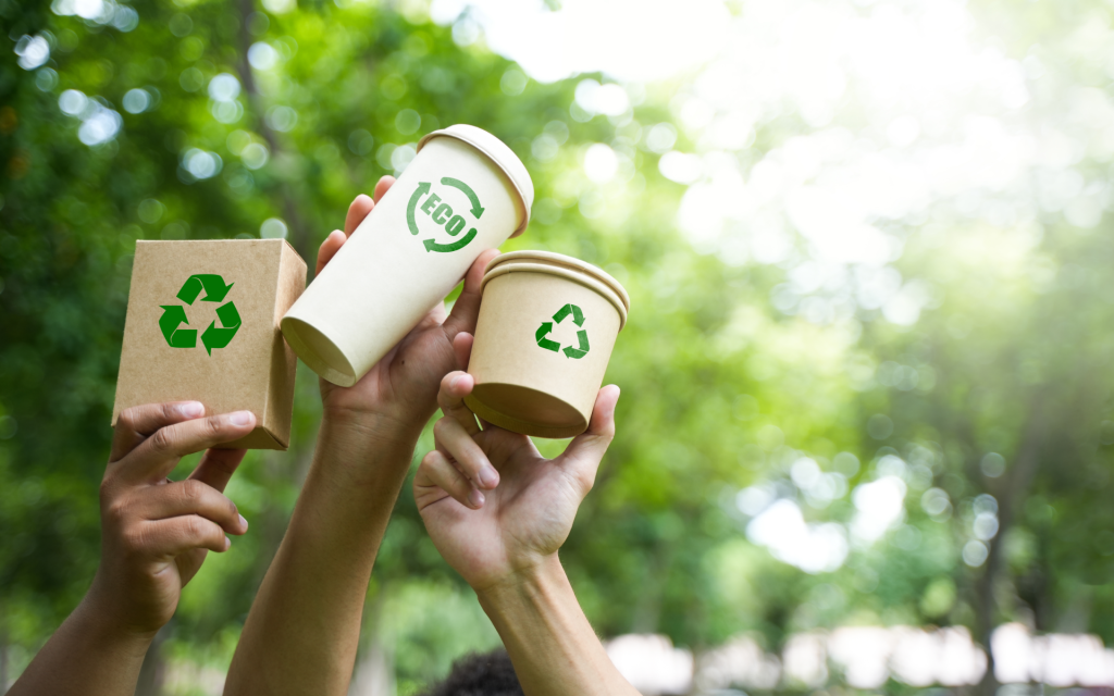 Sustainable Living: Eco-Friendly Solutions for Your Home